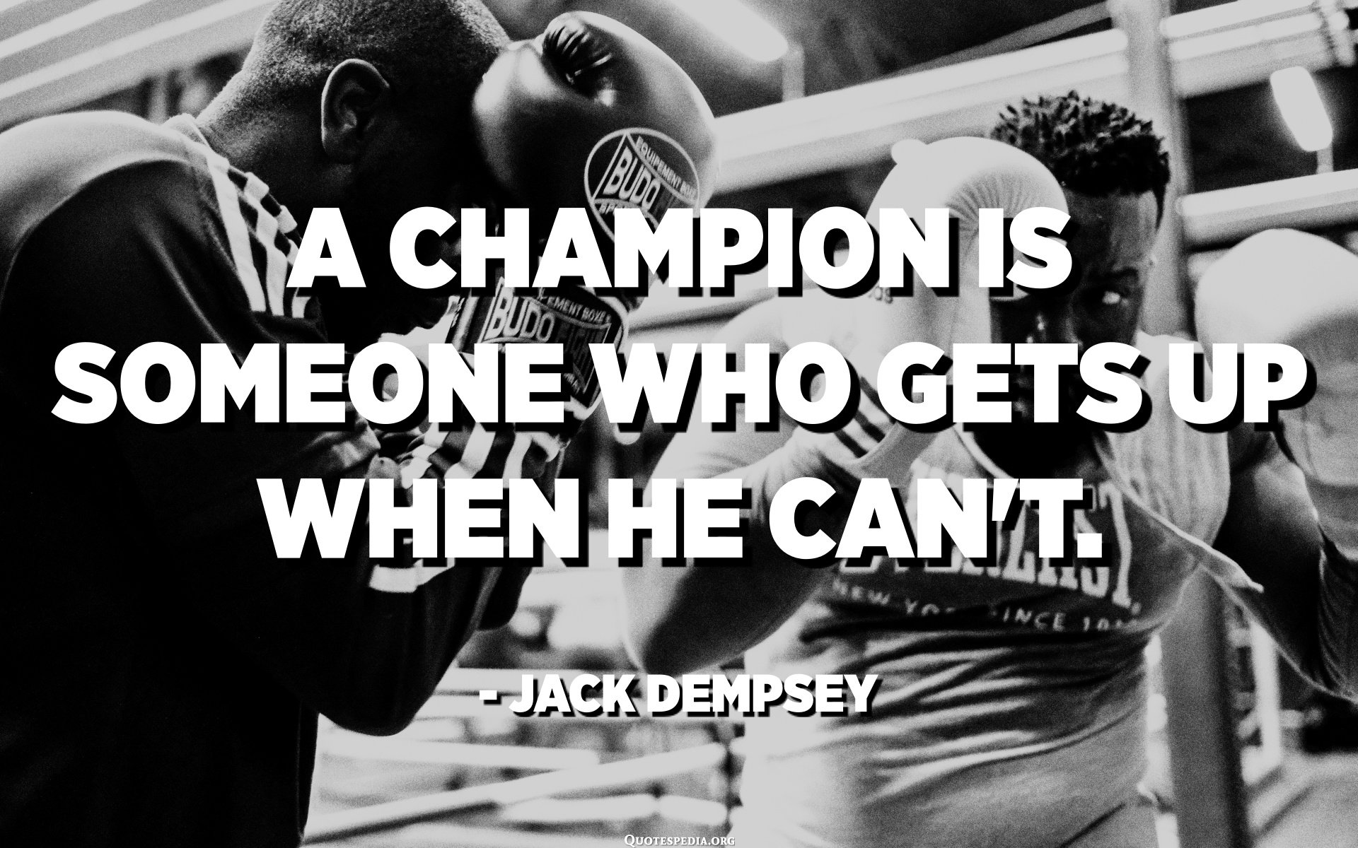 Rising Champions: A Champion Is Someone Who Gets Up - Who Can Do What