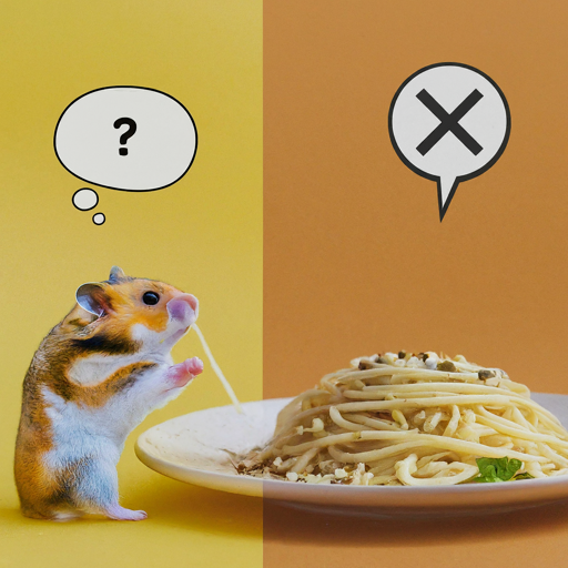 Can Hamsters Eat Spaghetti - Who Can Do What